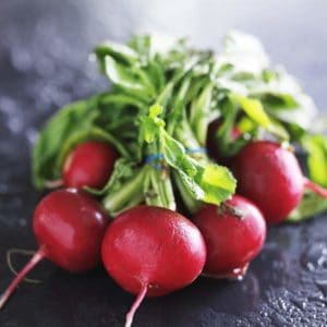 Top 9 Best Vegetables To Grow In Hydroponics (with pictures)