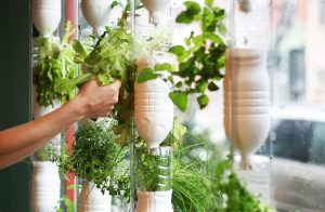 10 Easy DIY Hydroponic Plans For Beginners - The Hydroponics Planet