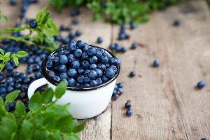 Hydroponic Blueberries: Can You Grow Them Hydroponically?