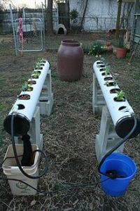 How to Build an NFT System - The Hydroponics Planet